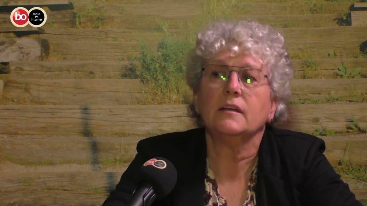 Podium: tentoonstelling Wijsmuller & Berkemeier en Wilma Mesman over ...